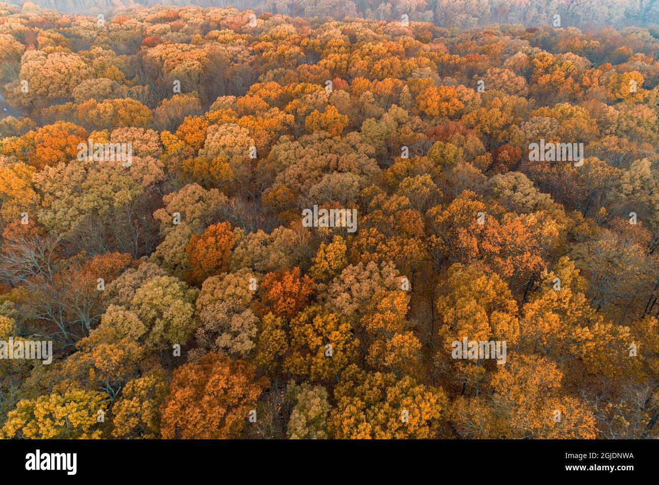 Aerial View of fall Color at sunrise, Marion County, Illinois Stock ...