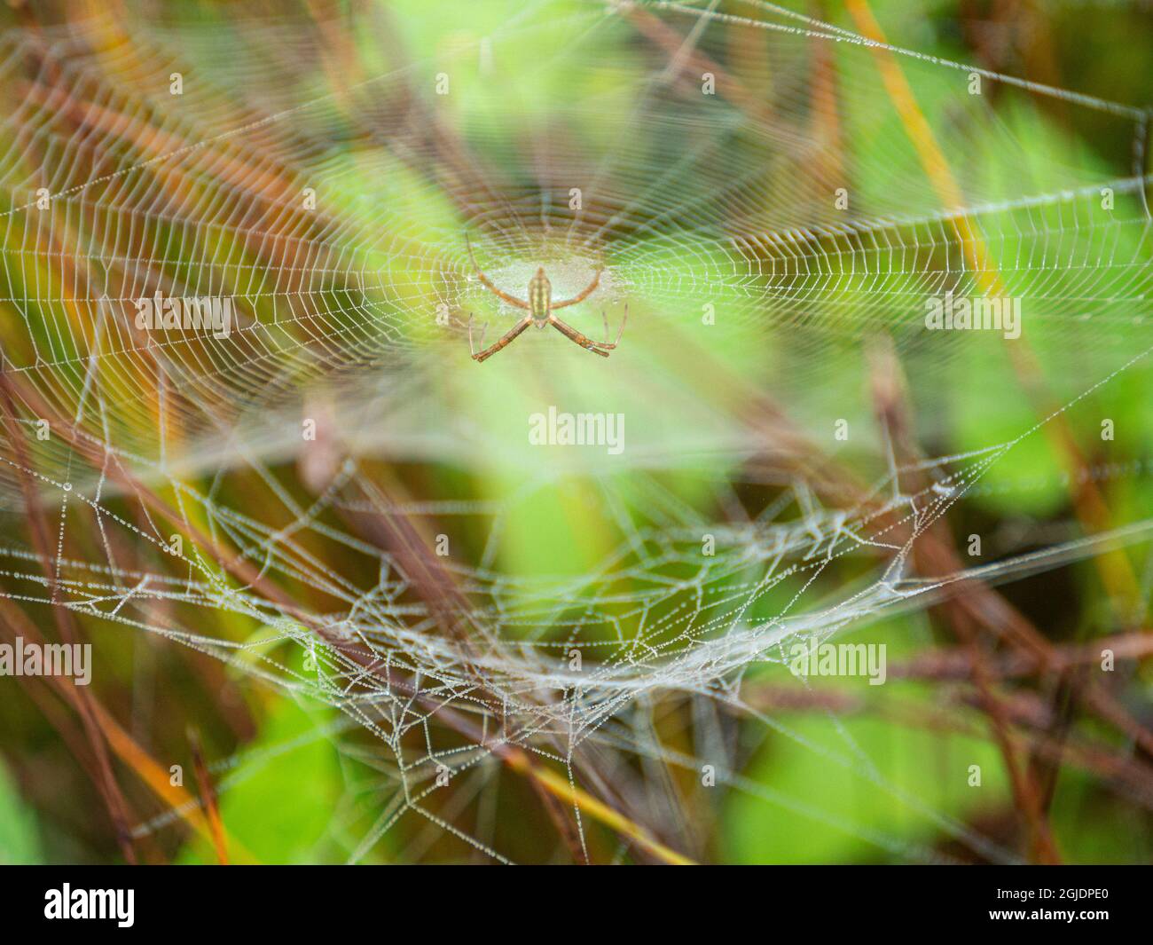 Rob sheppard hi-res stock photography and images - Alamy