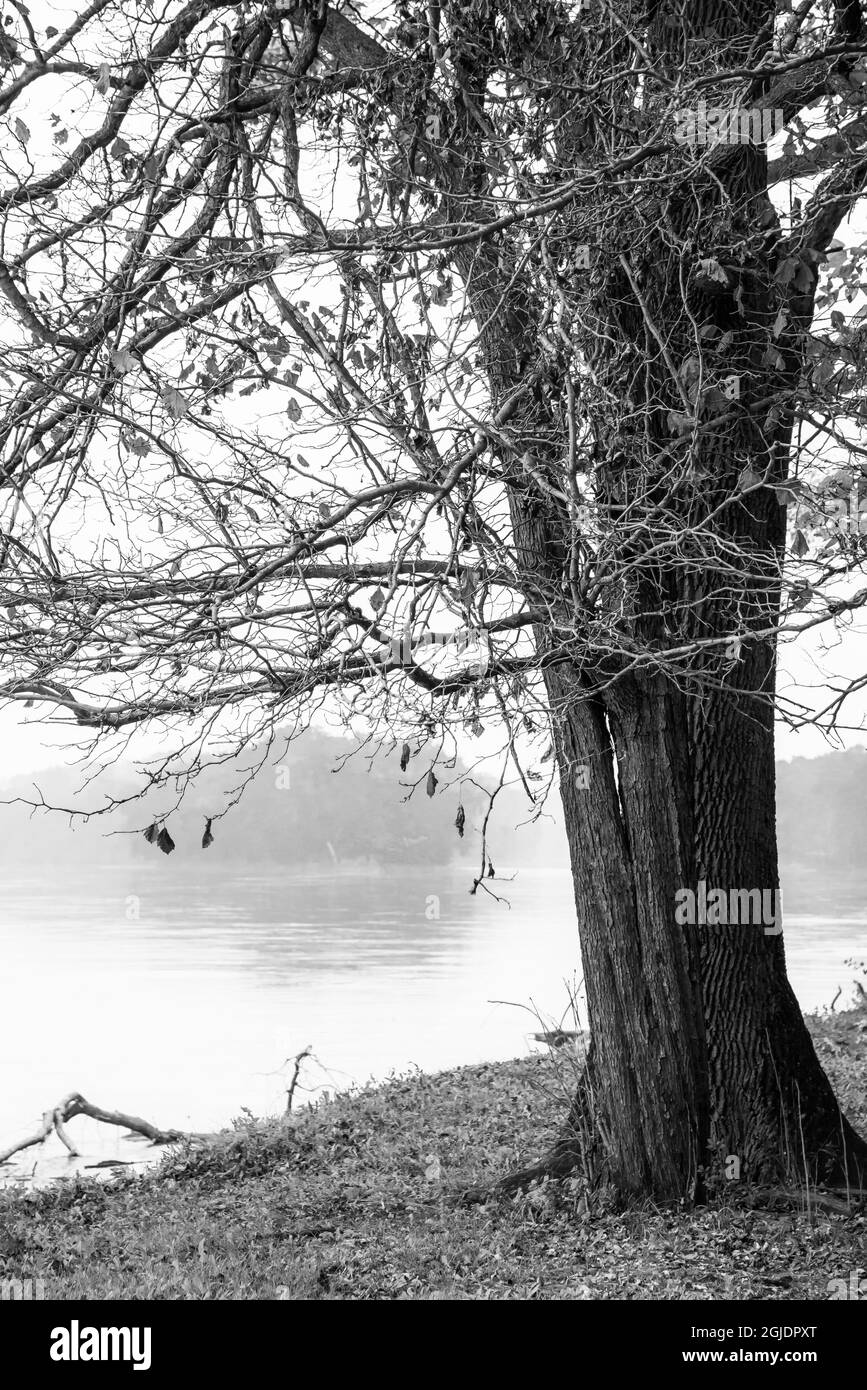 Anna park Black and White Stock Photos & Images - Alamy