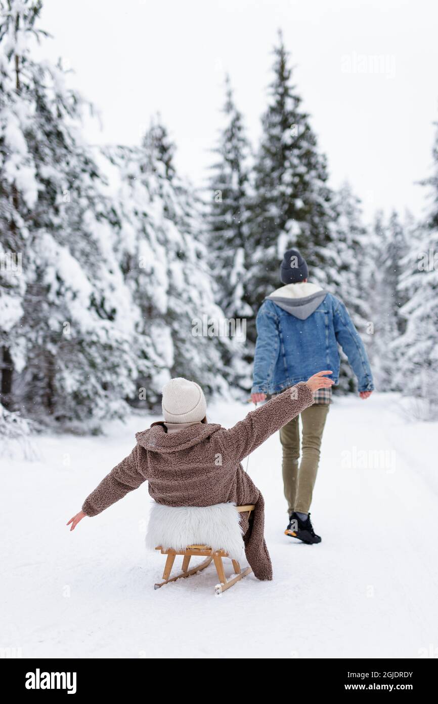 back view of man pulling sledge with his girlfriend in winter forest or ...