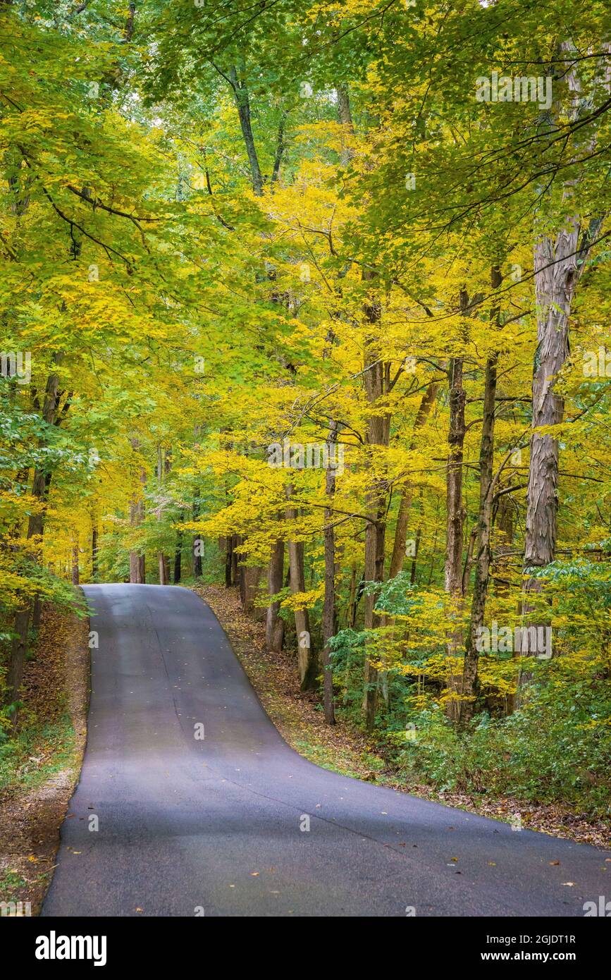 Curvy Road in Clifty Creek Park, Southern Indiana Stock Photo - Alamy
