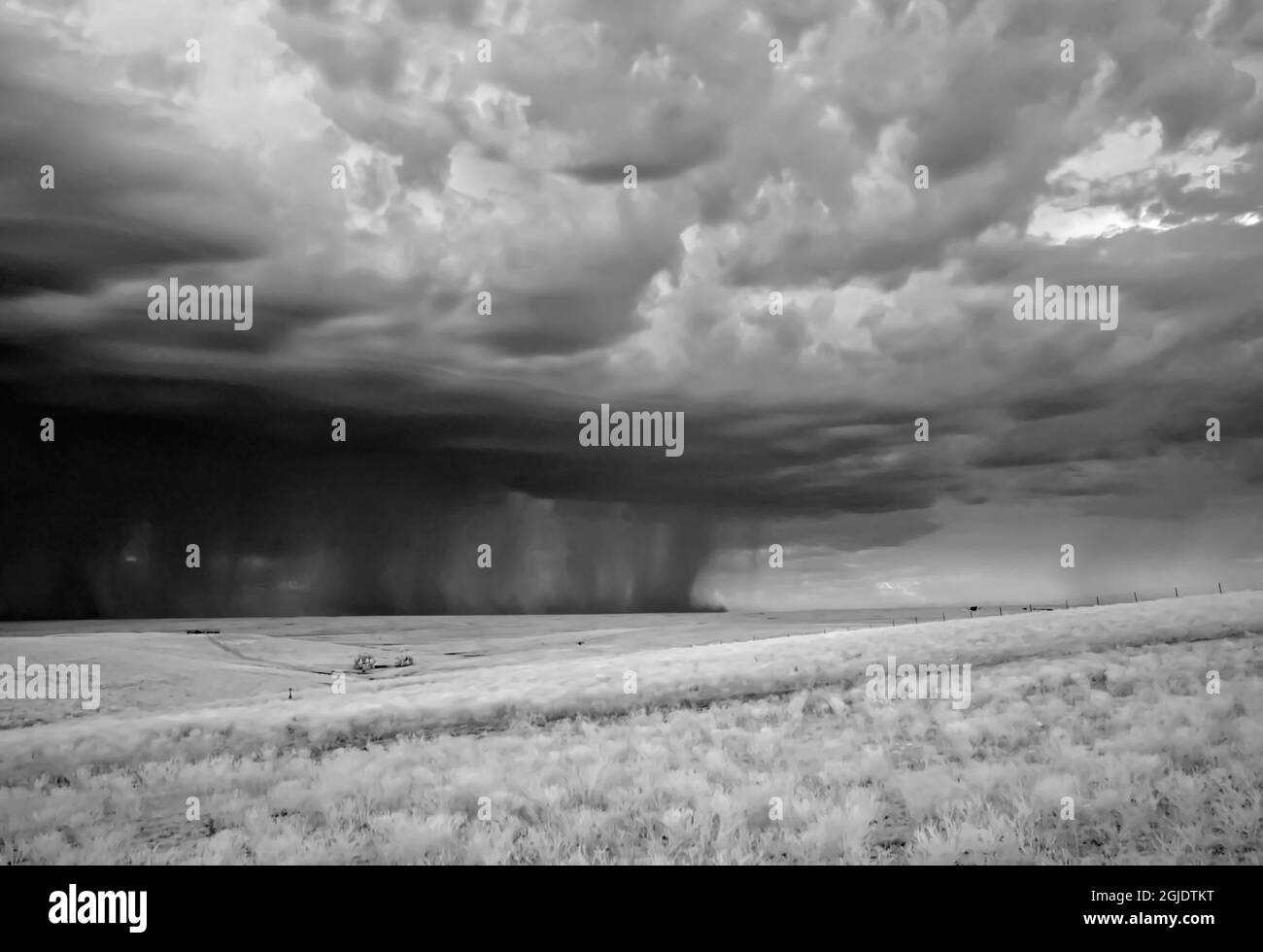 Rain shafts leading the way for a Kansas Flint Hills storm Stock Photo ...