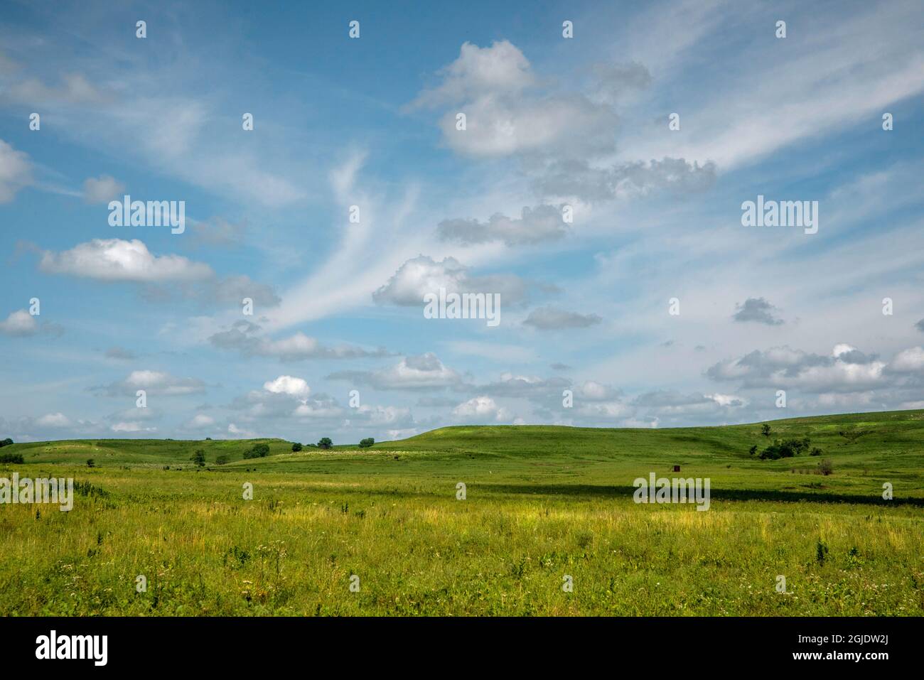 Spring in the hills hi-res stock photography and images - Alamy