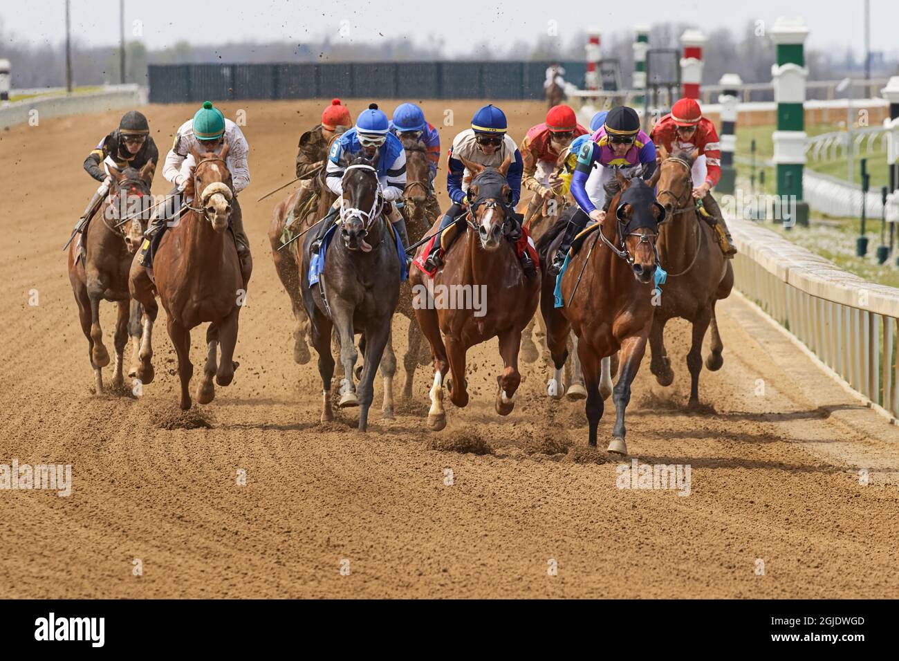 Thoroughbred horse racing at Keeneland race track at spring meet ...