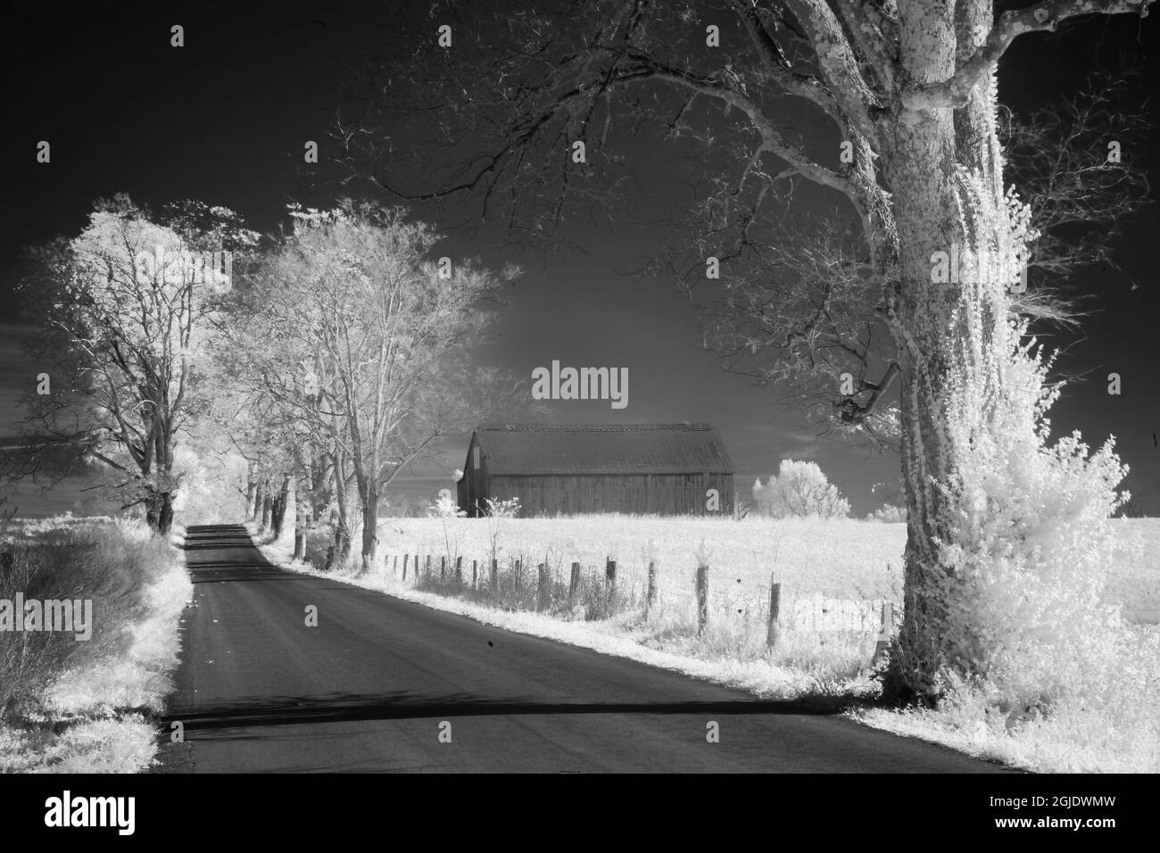 Kentucky state Capital building, infra red black and white, Frankfort ...