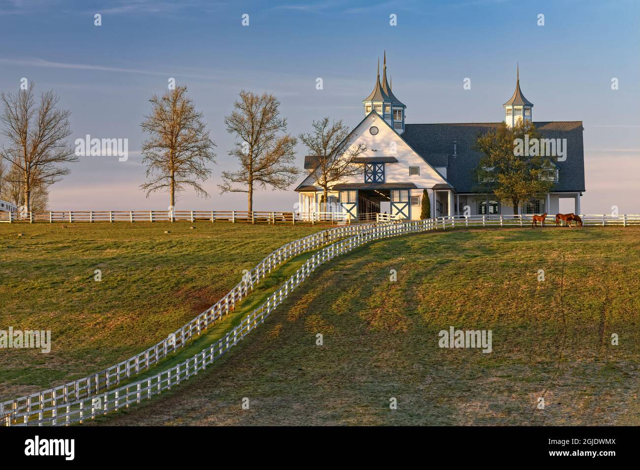 Manchester Horse Farm, Lexington, Kentucky Stock Photo - Alamy