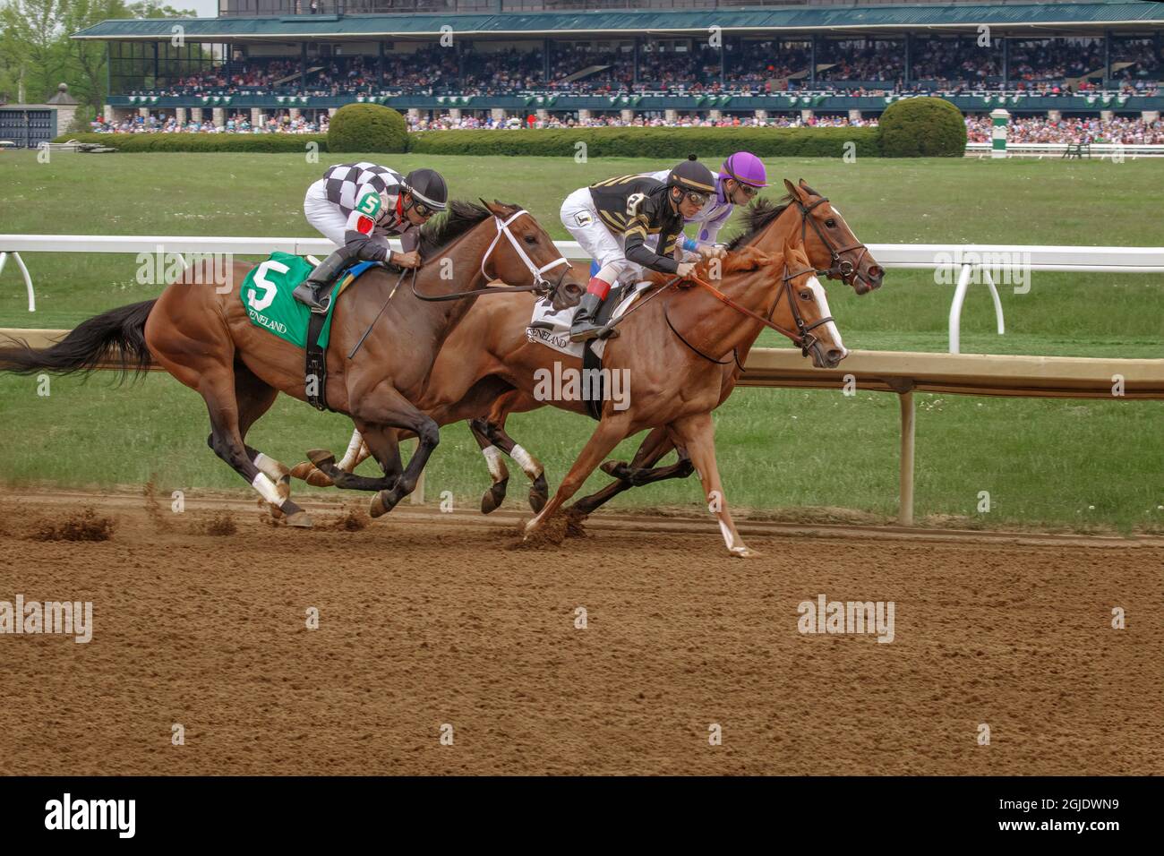 Thoroughbred horse racing at historic Keeneland race track, Bluegrass ...