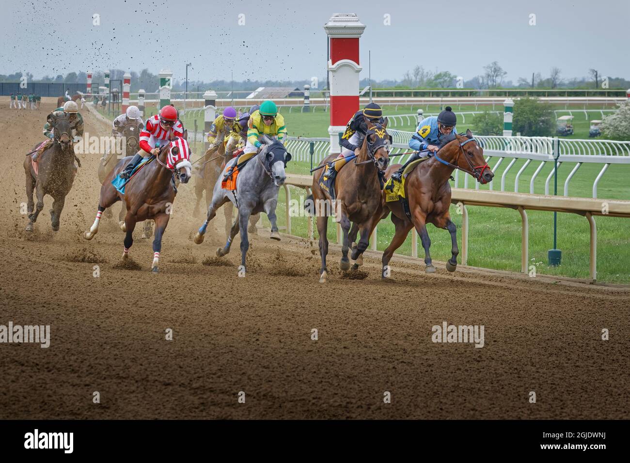 Thoroughbred horse racing at historic Keeneland race track, Bluegrass ...