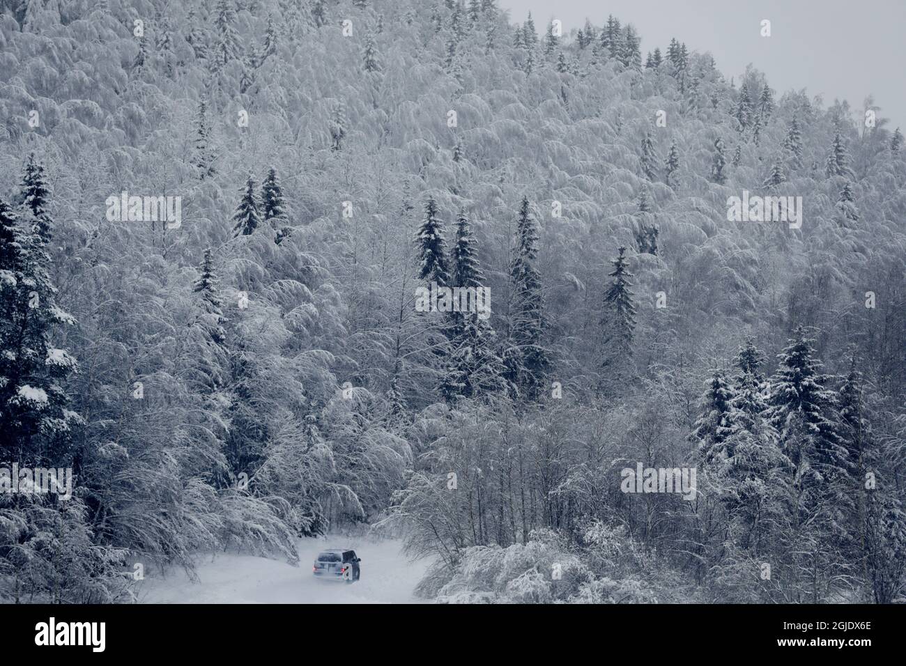 Newsandroyalty15thjanuary2021 hi-res stock photography and images - Alamy