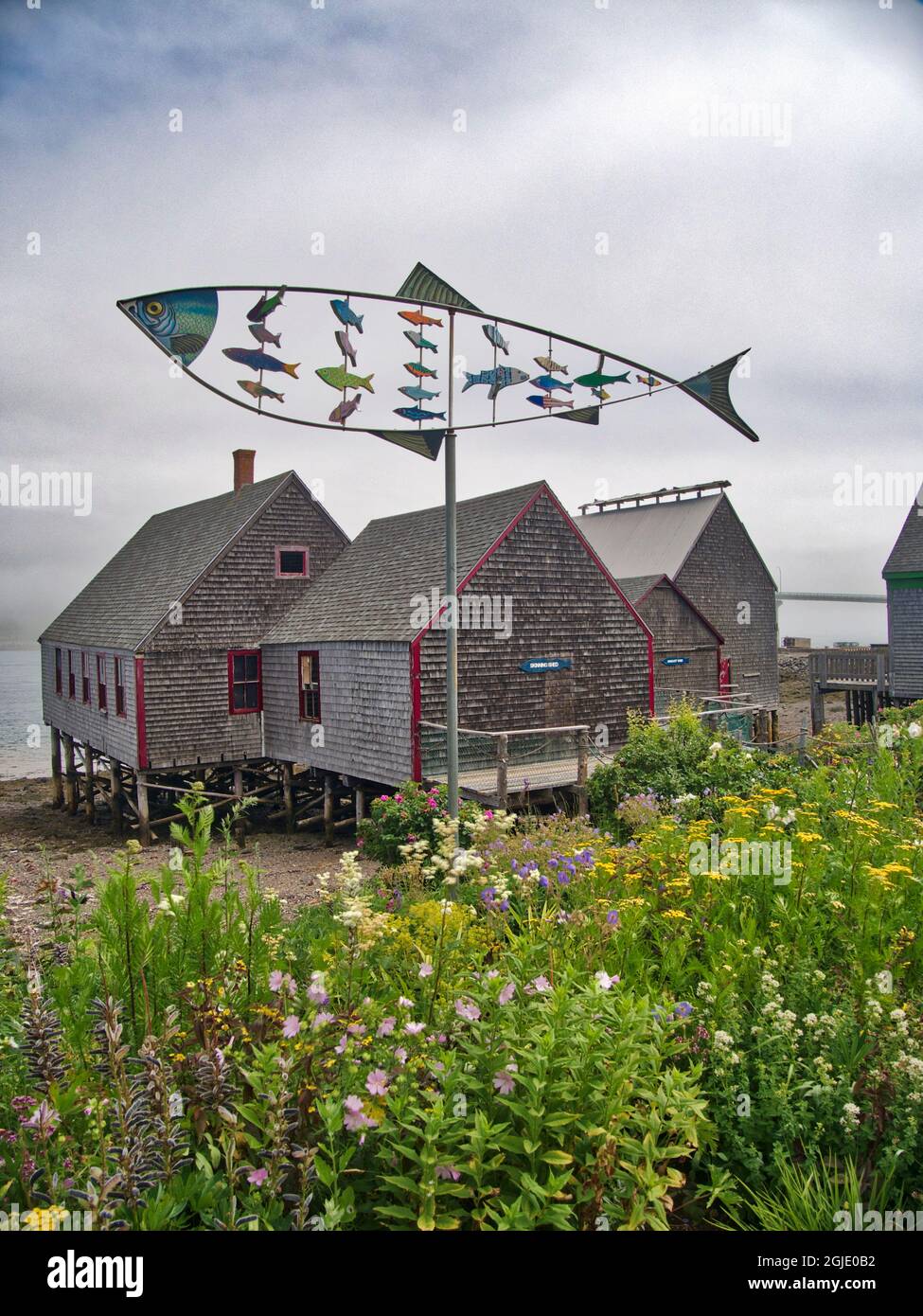 Old fish cannery hi-res stock photography and images - Alamy