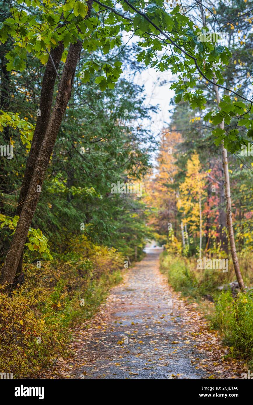 Bar harbor shore path hi-res stock photography and images - Alamy