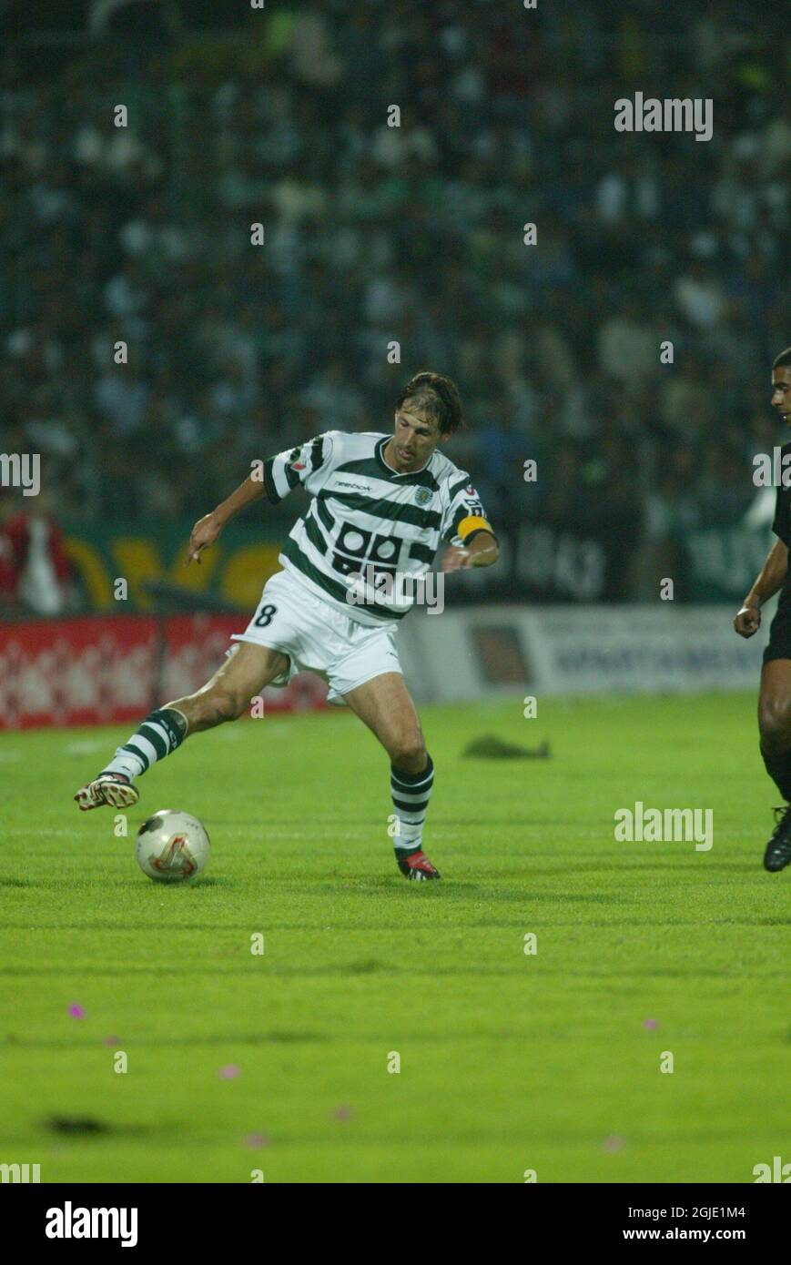 Pedro Barbosa, Sporting Lisbon Stock Photo - Alamy