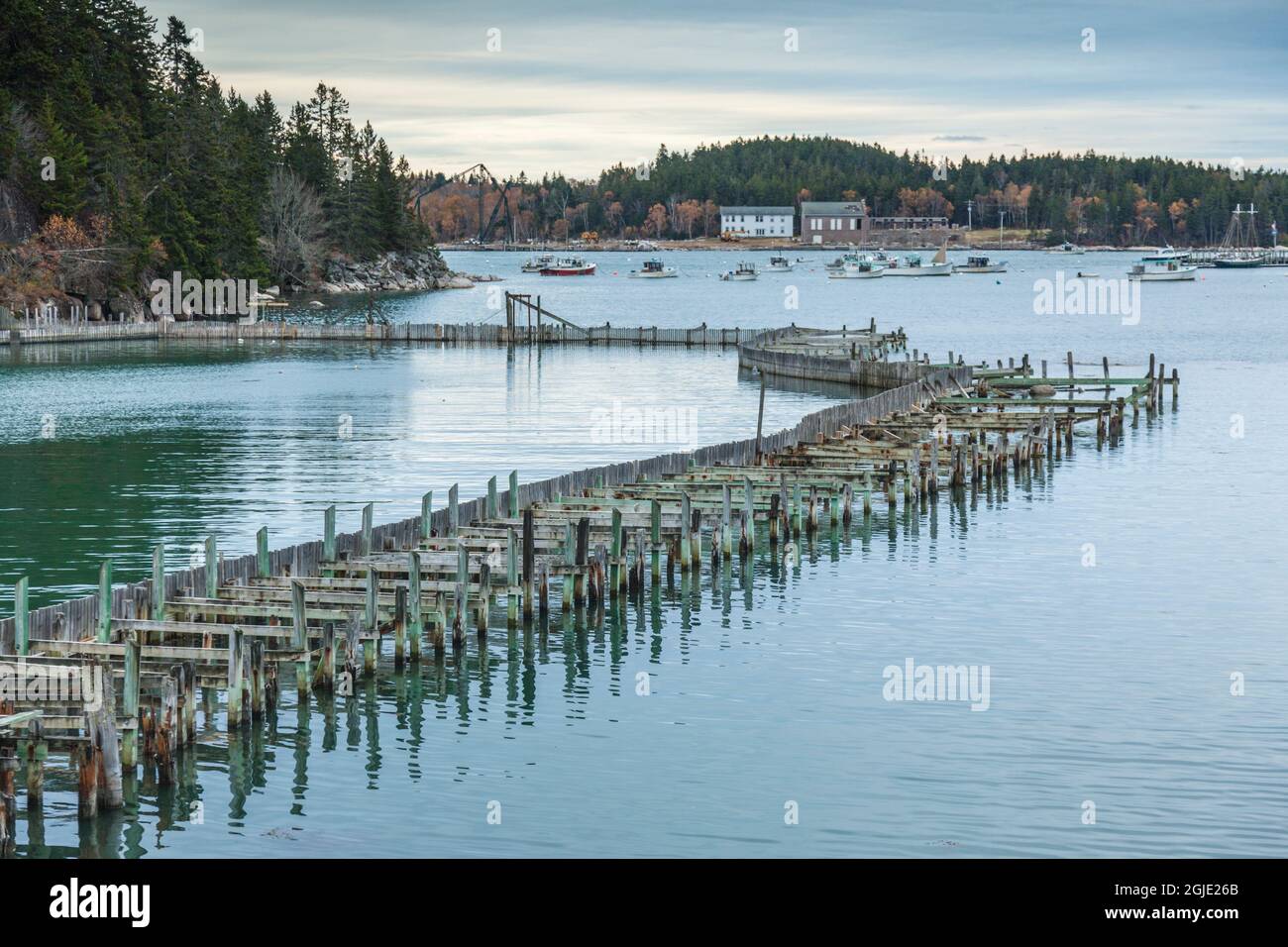 USA, Maine, Stonington. Lobster pool during autumn Stock Photo - Alamy