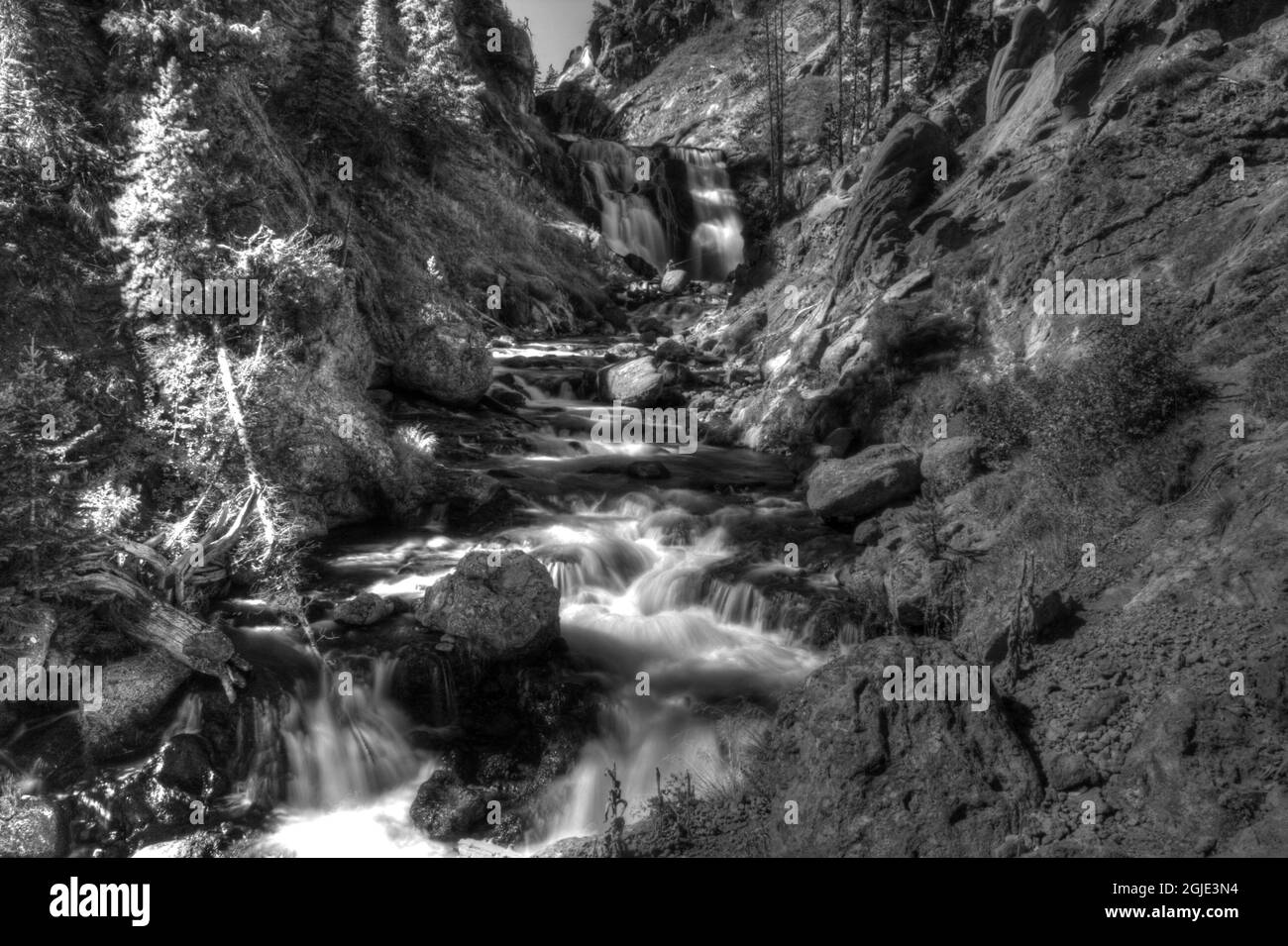 Grayscale shot of the river surrounded by rocks and trees Stock Photo ...