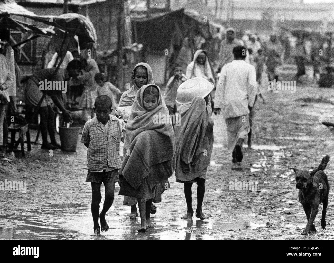 Bihari refugee camp hi-res stock photography and images - Alamy