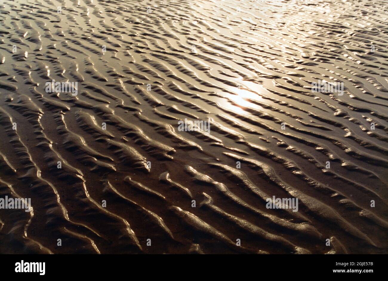 Wet sand pattern under the sunlight Stock Photo - Alamy