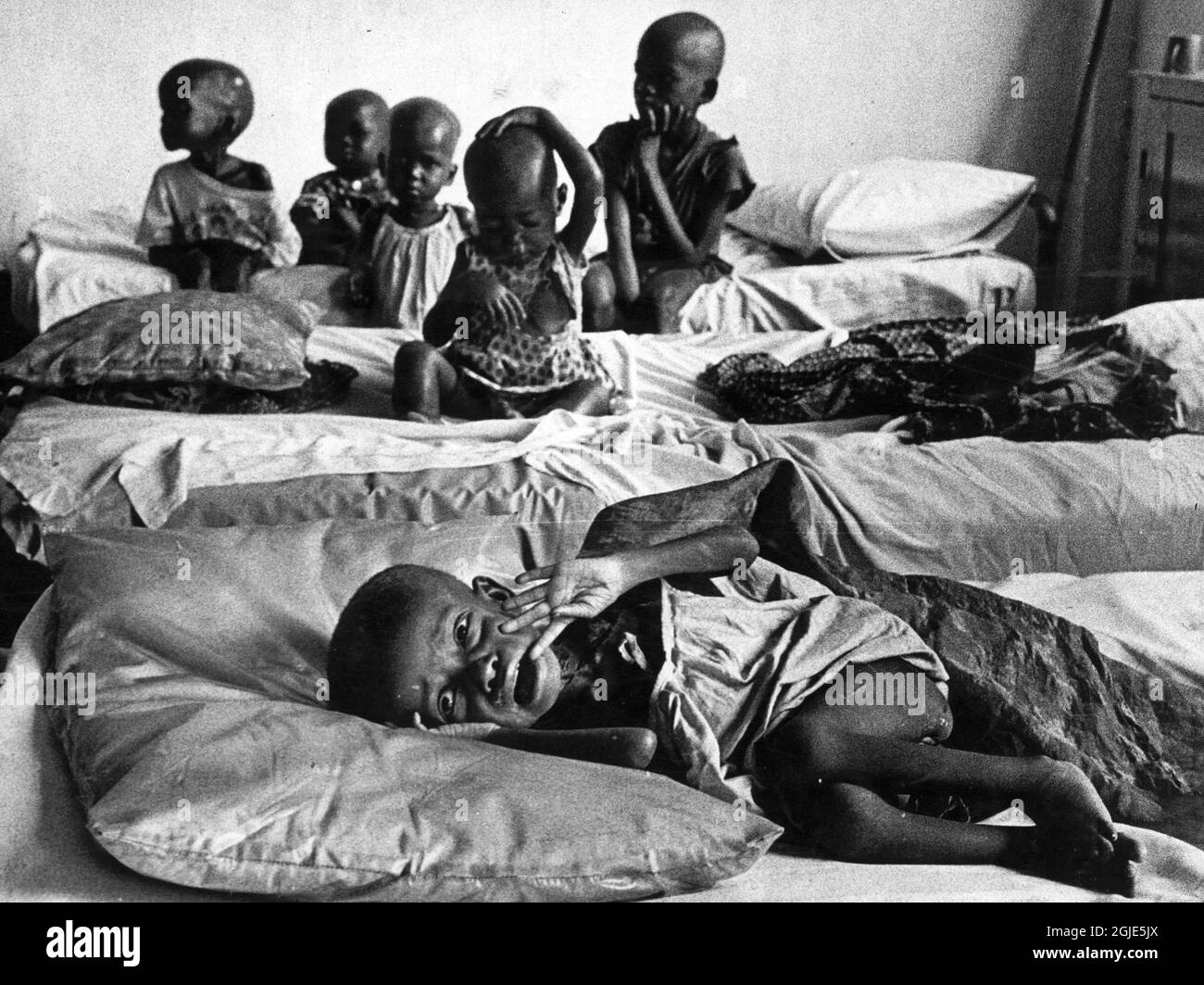 Child biafran war hi-res stock photography and images - Alamy