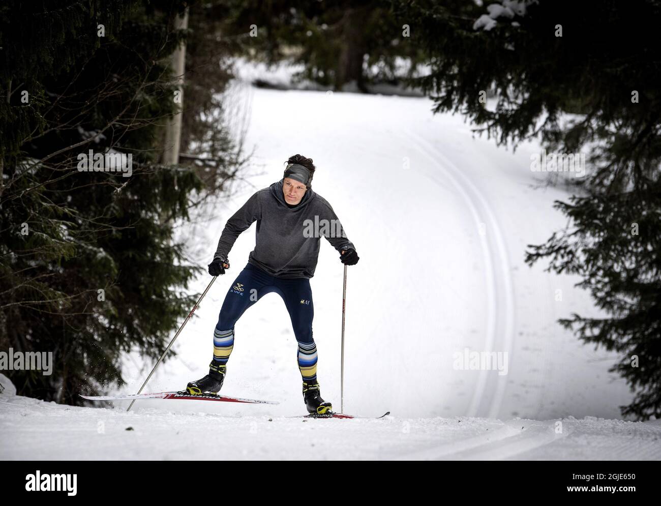 Swedish speed skater Nils van der Poel training in Duved, Sweden, March ...
