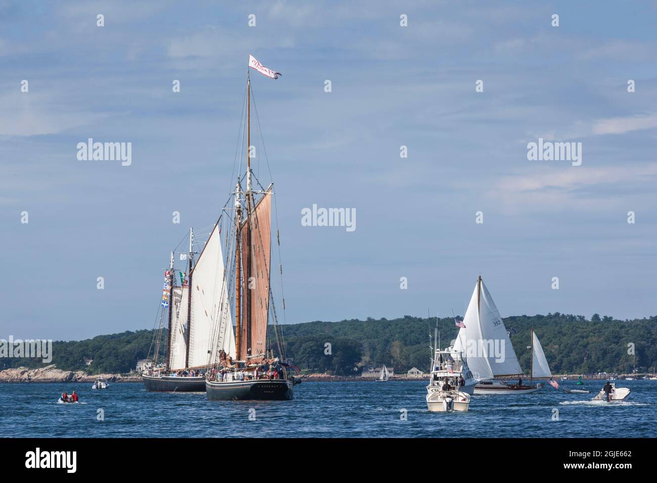 USA, Massachusetts, Cape Ann, Gloucester. Gloucester Schooner Festival ...