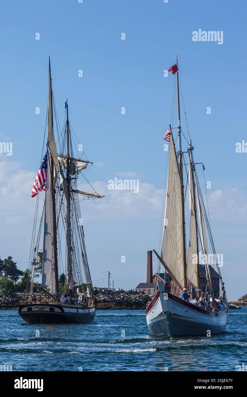 USA, Massachusetts, Cape Ann, Gloucester. Gloucester Schooner Festival ...