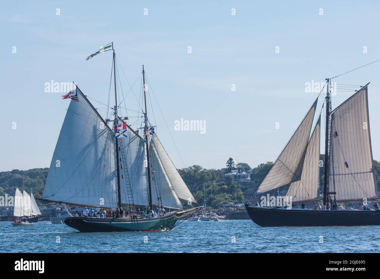 USA, Massachusetts, Cape Ann, Gloucester. Gloucester Schooner Festival ...