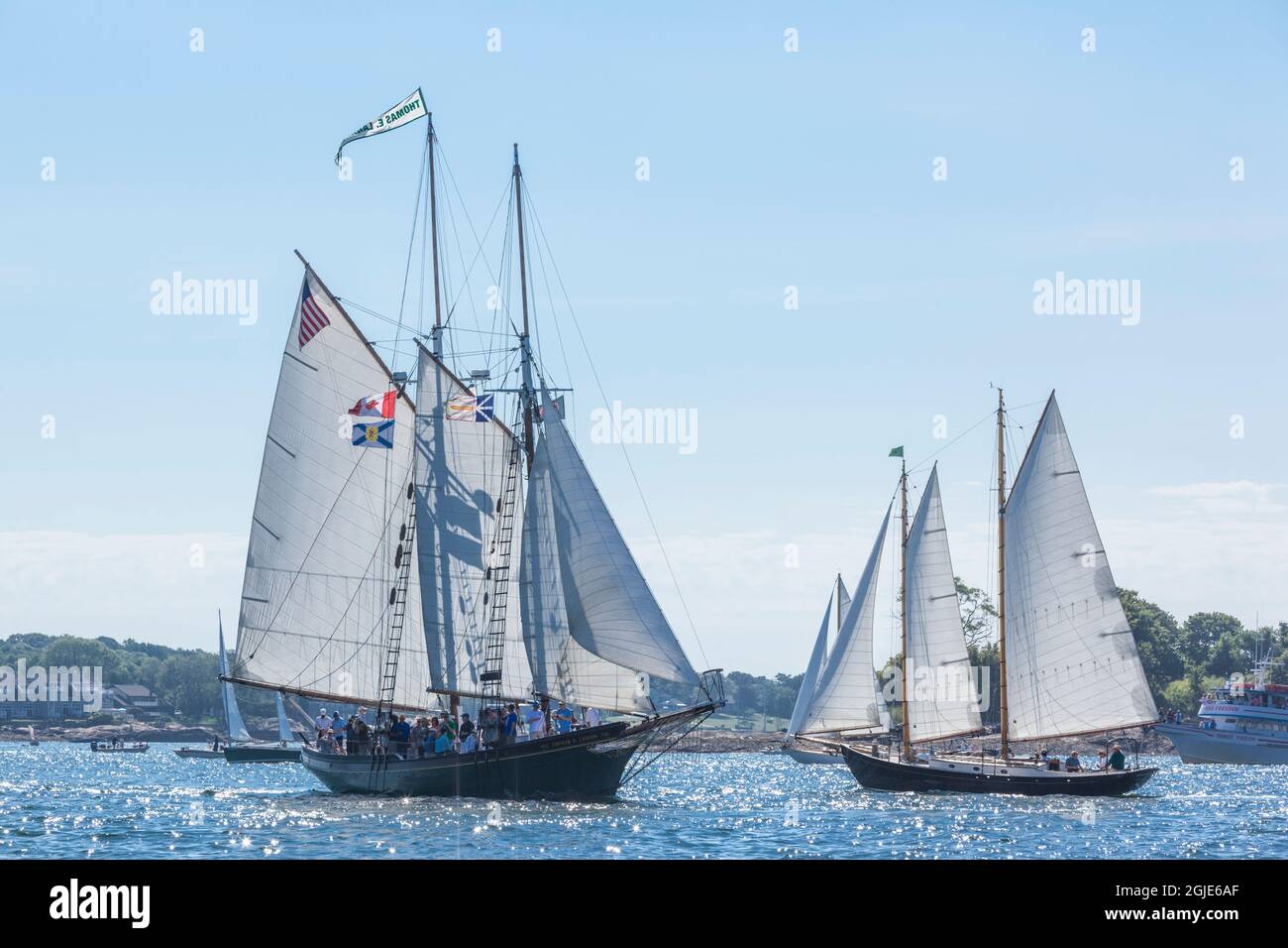 USA, Massachusetts, Cape Ann, Gloucester. Gloucester Schooner Festival ...
