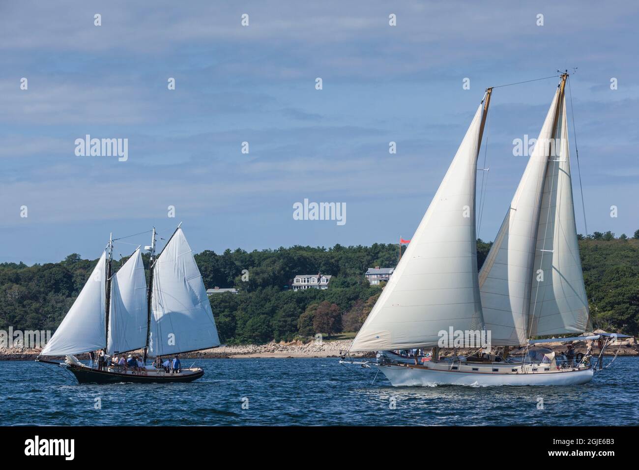 USA, Massachusetts, Cape Ann, Gloucester. Gloucester Schooner Festival ...