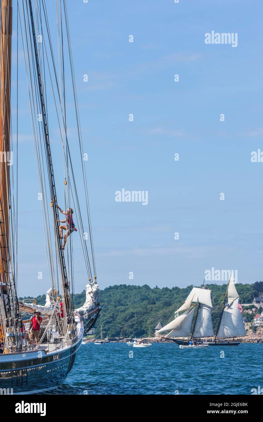 USA, Massachusetts, Cape Ann, Gloucester. Gloucester Schooner Festival ...