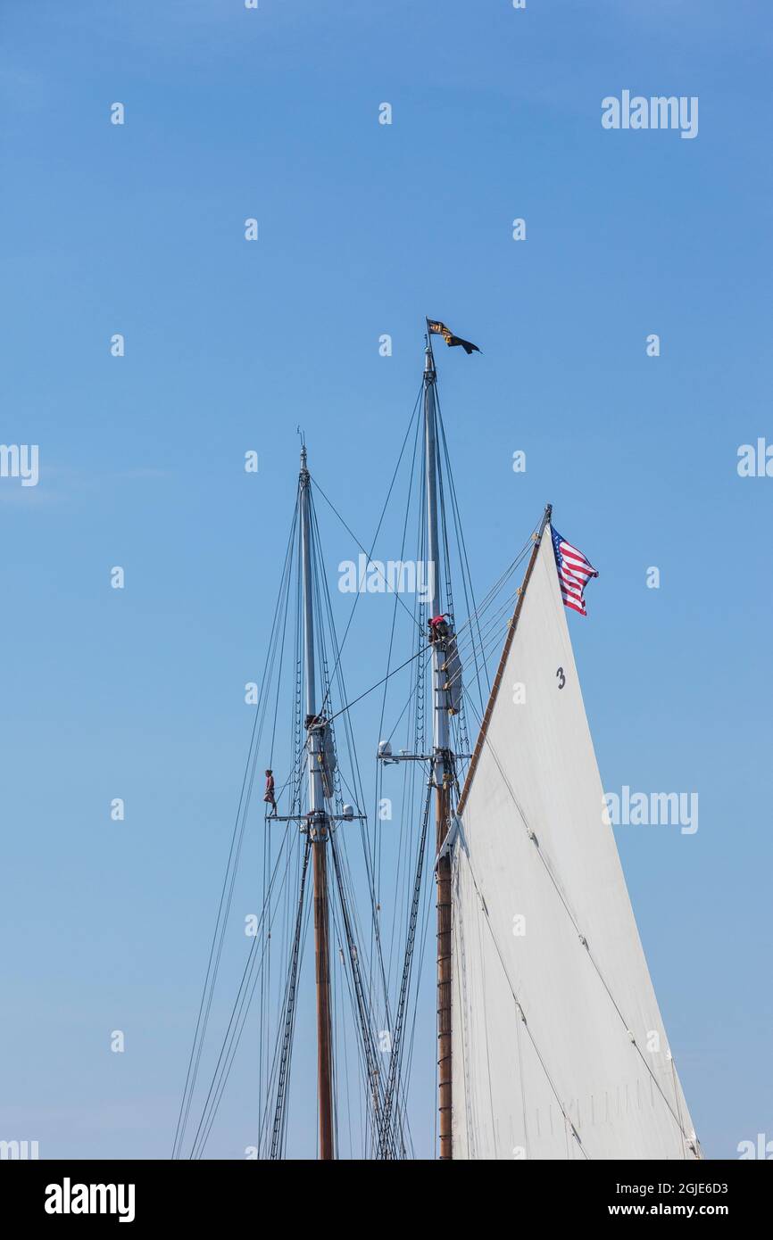 USA, Massachusetts, Cape Ann, Gloucester. Gloucester Schooner Festival ...