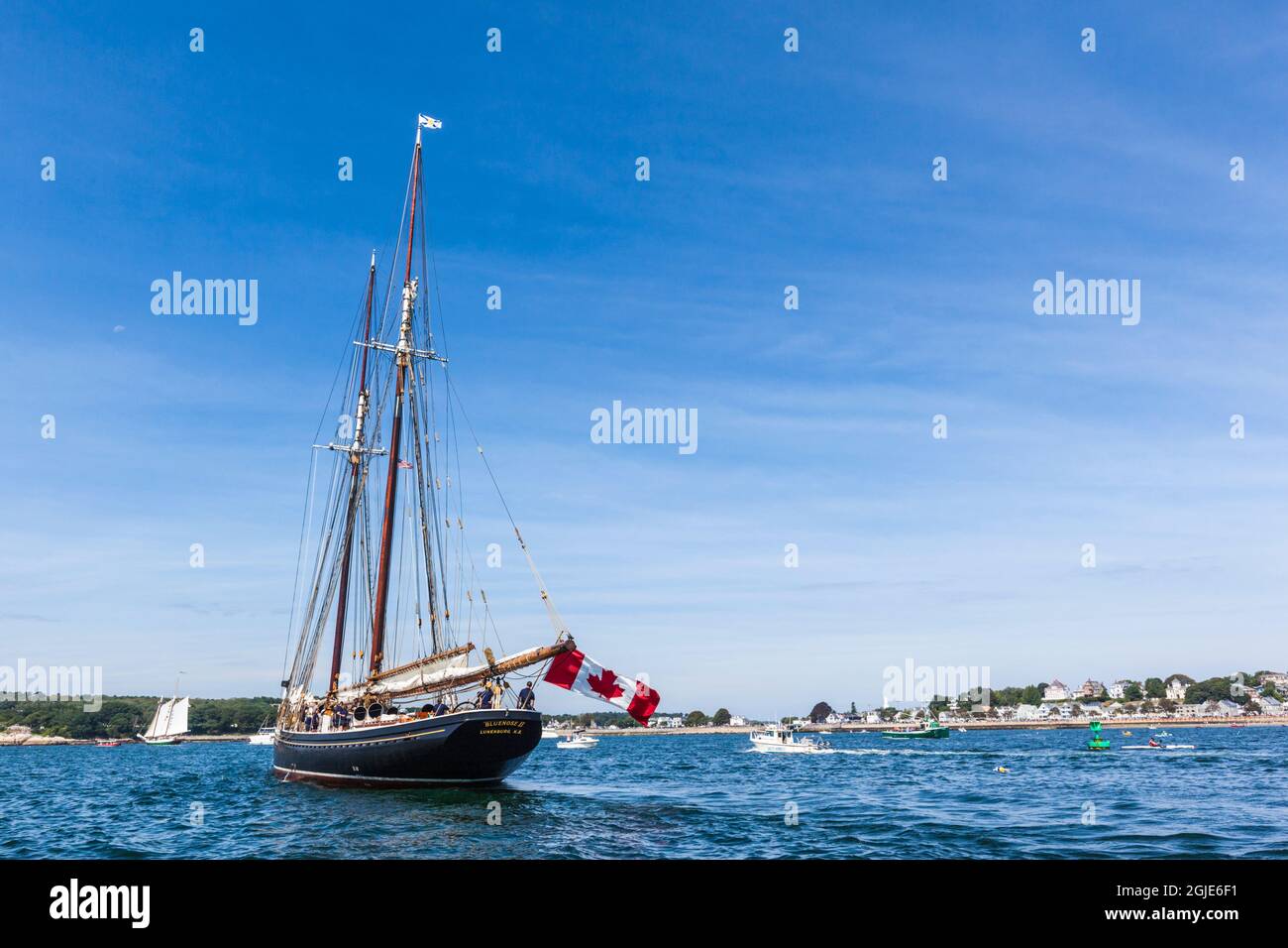 USA, Massachusetts, Cape Ann, Gloucester. Gloucester Schooner Festival ...
