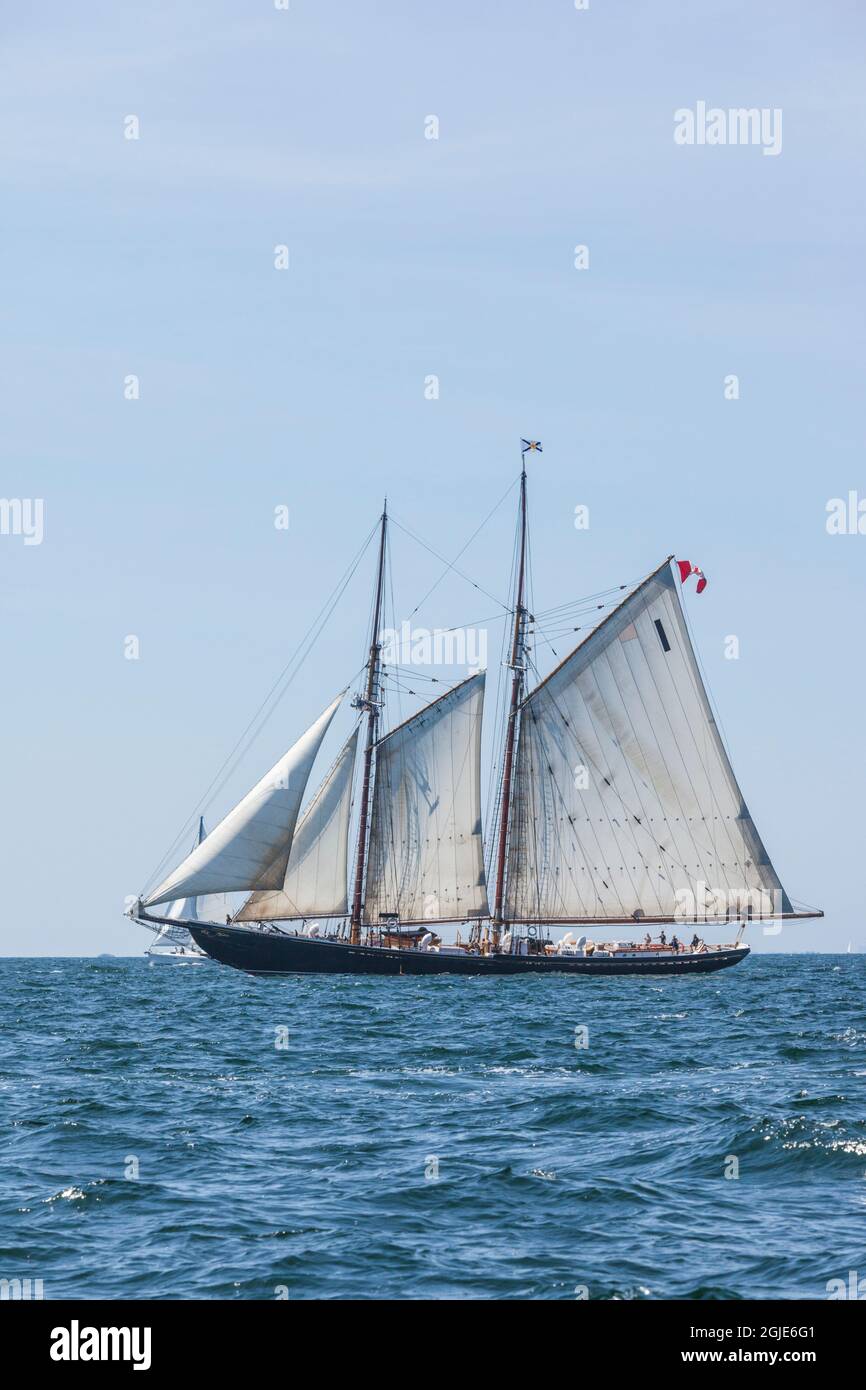 USA, Massachusetts, Cape Ann, Gloucester. Gloucester Schooner Festival ...