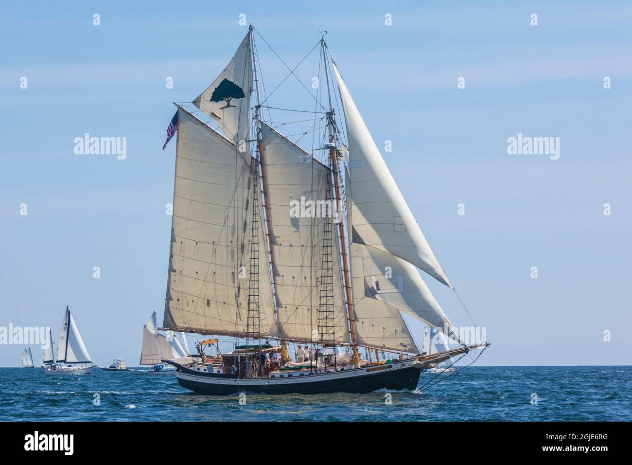 USA, Massachusetts, Cape Ann, Gloucester. Gloucester Schooner Festival ...
