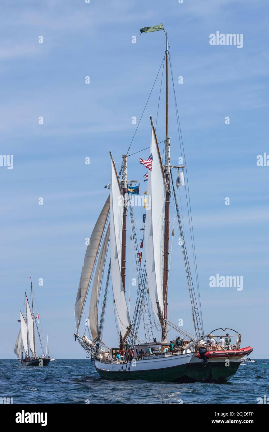 USA, Massachusetts, Cape Ann, Gloucester. Gloucester Schooner Festival ...
