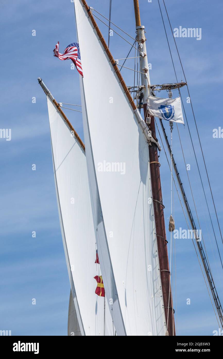 USA, Massachusetts, Cape Ann, Gloucester. Gloucester Schooner Festival ...