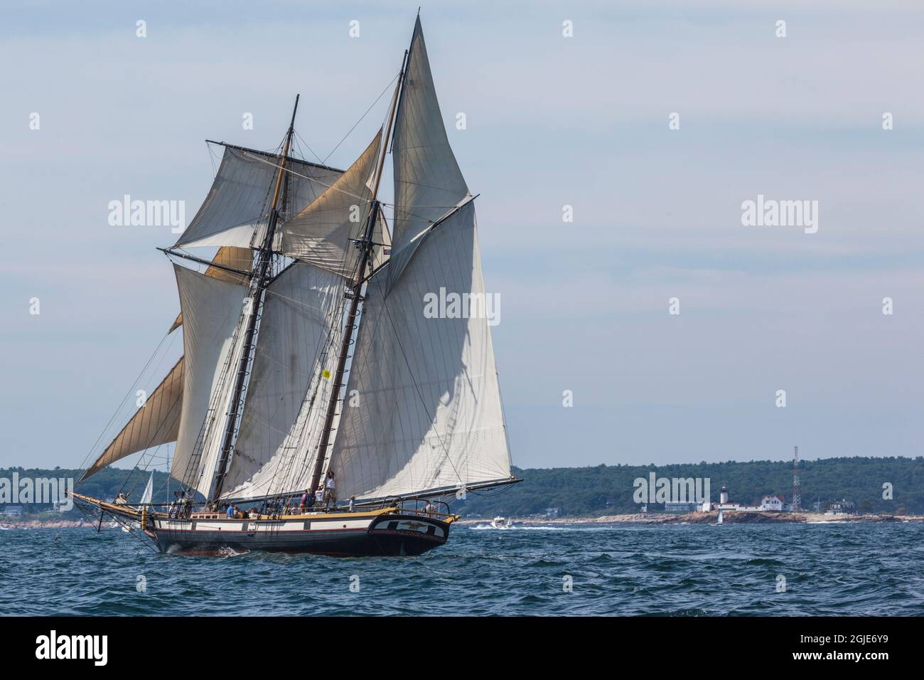 USA, Massachusetts, Cape Ann, Gloucester. Gloucester Schooner Festival ...
