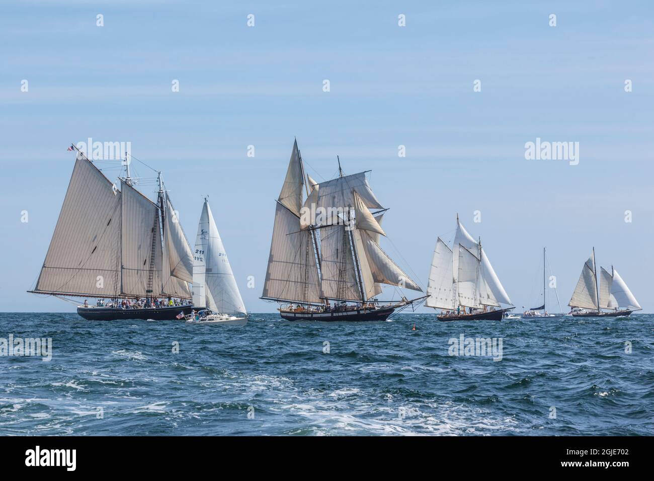 USA, Massachusetts, Cape Ann, Gloucester. Gloucester Schooner Festival ...