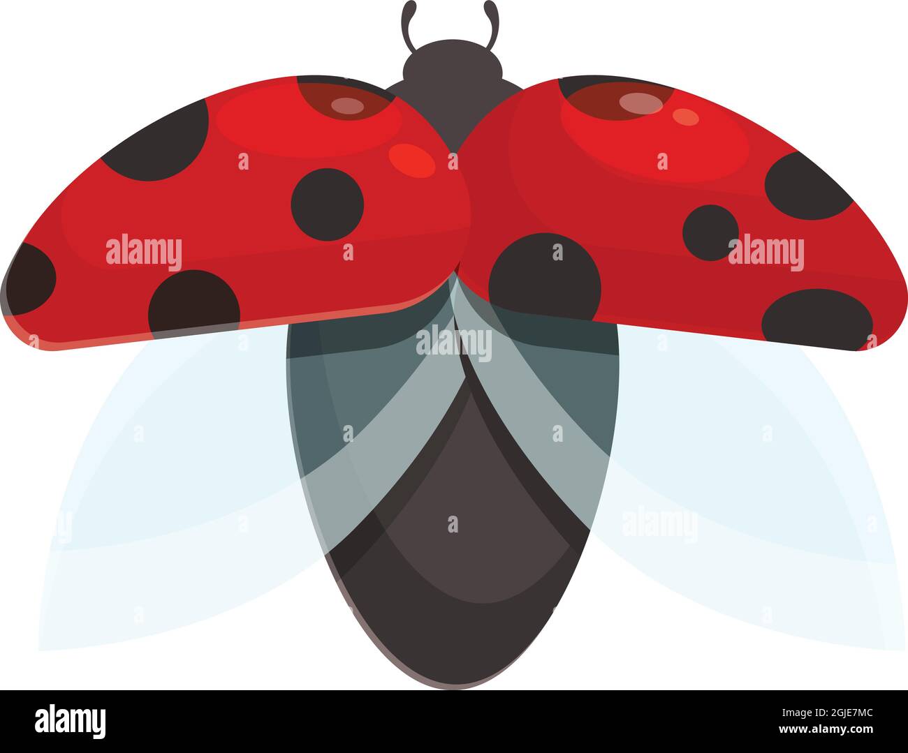 Flying ladybird icon cartoon vector. Ladybug beetle. Spring bug Stock ...