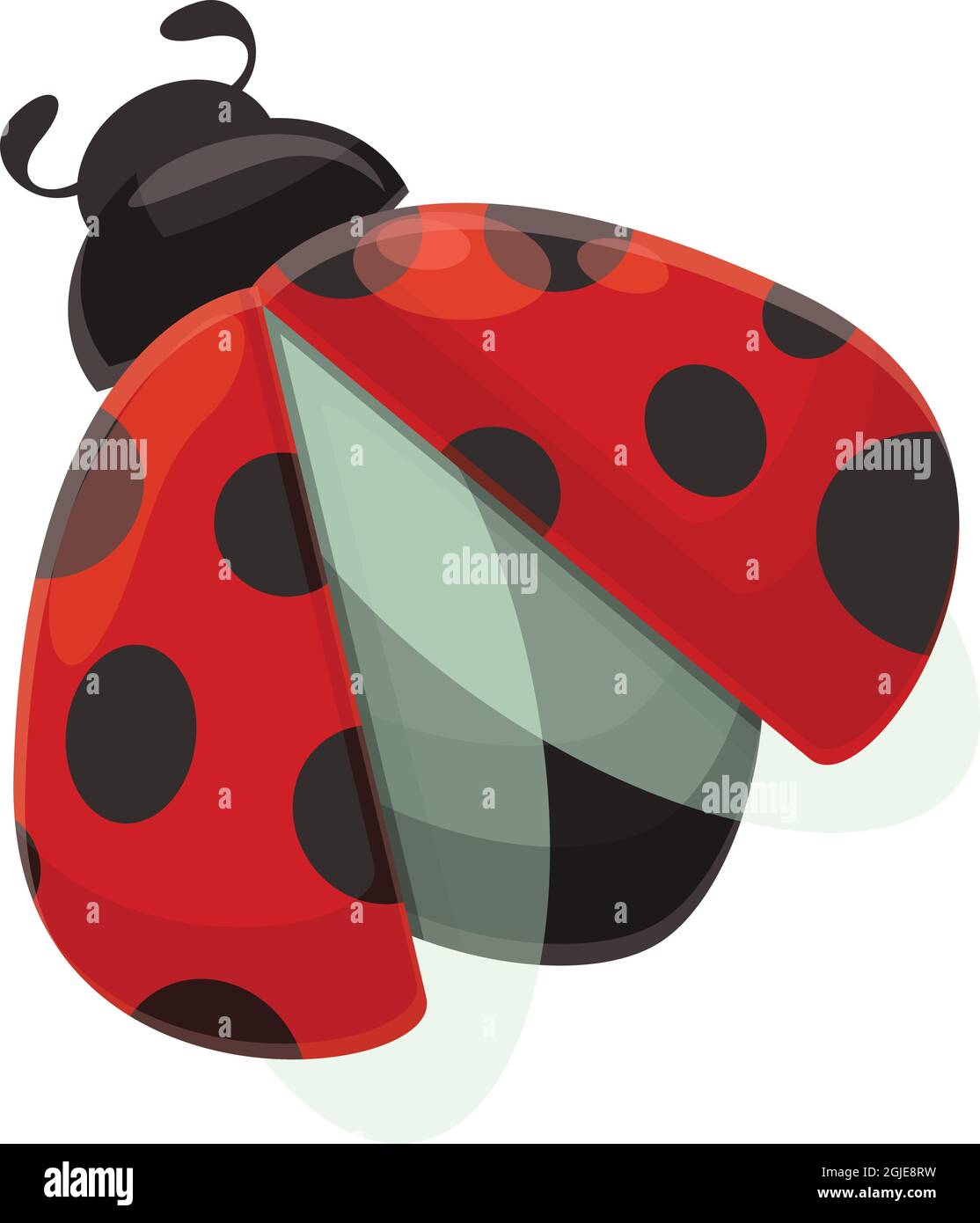 Flying Ladybug Clipart Black And White