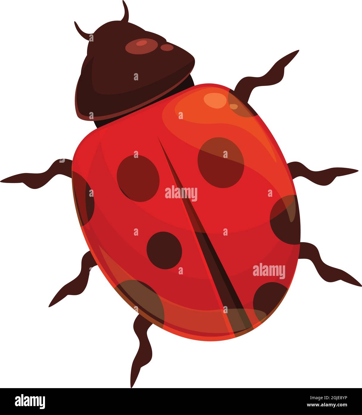 Wild ladybug icon cartoon vector. Bug ladybird. Beetle insect Stock ...