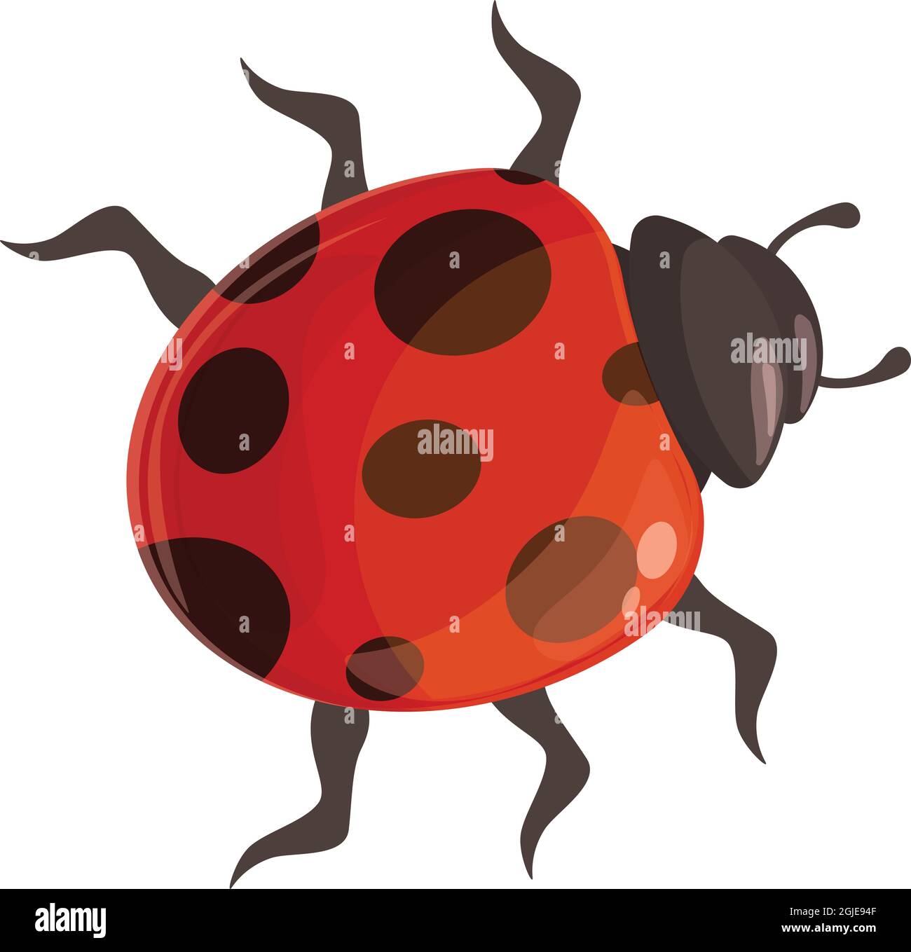 Nature ladybird icon cartoon vector. Ladybug beetle. Spring bug Stock ...