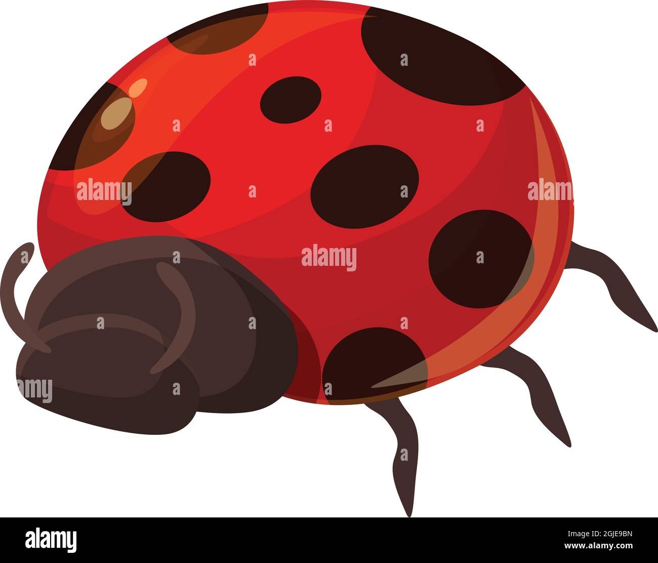 Cinnabar caterpillar Stock Vector Images - Alamy