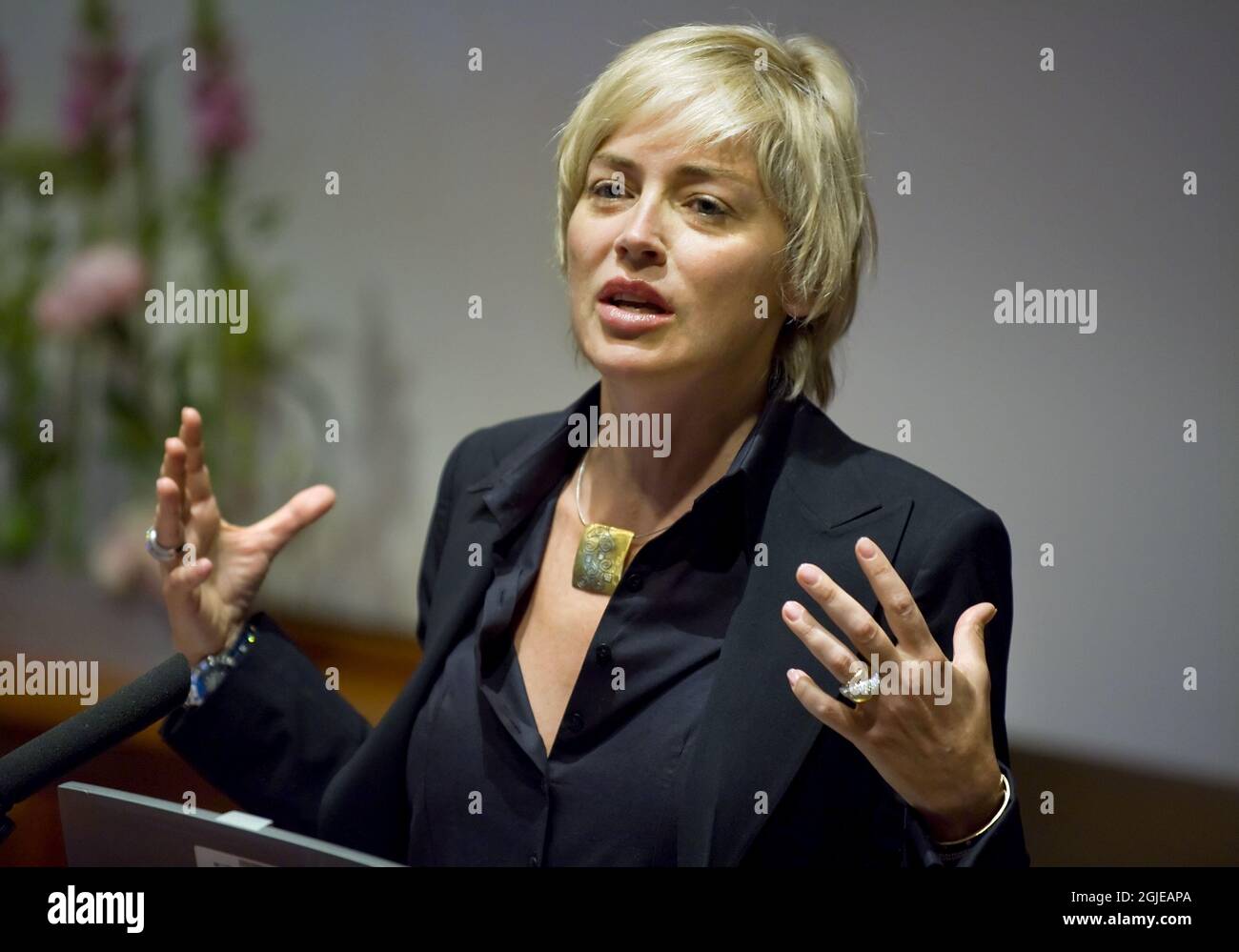American actress sharon stone hi-res stock photography and images - Alamy