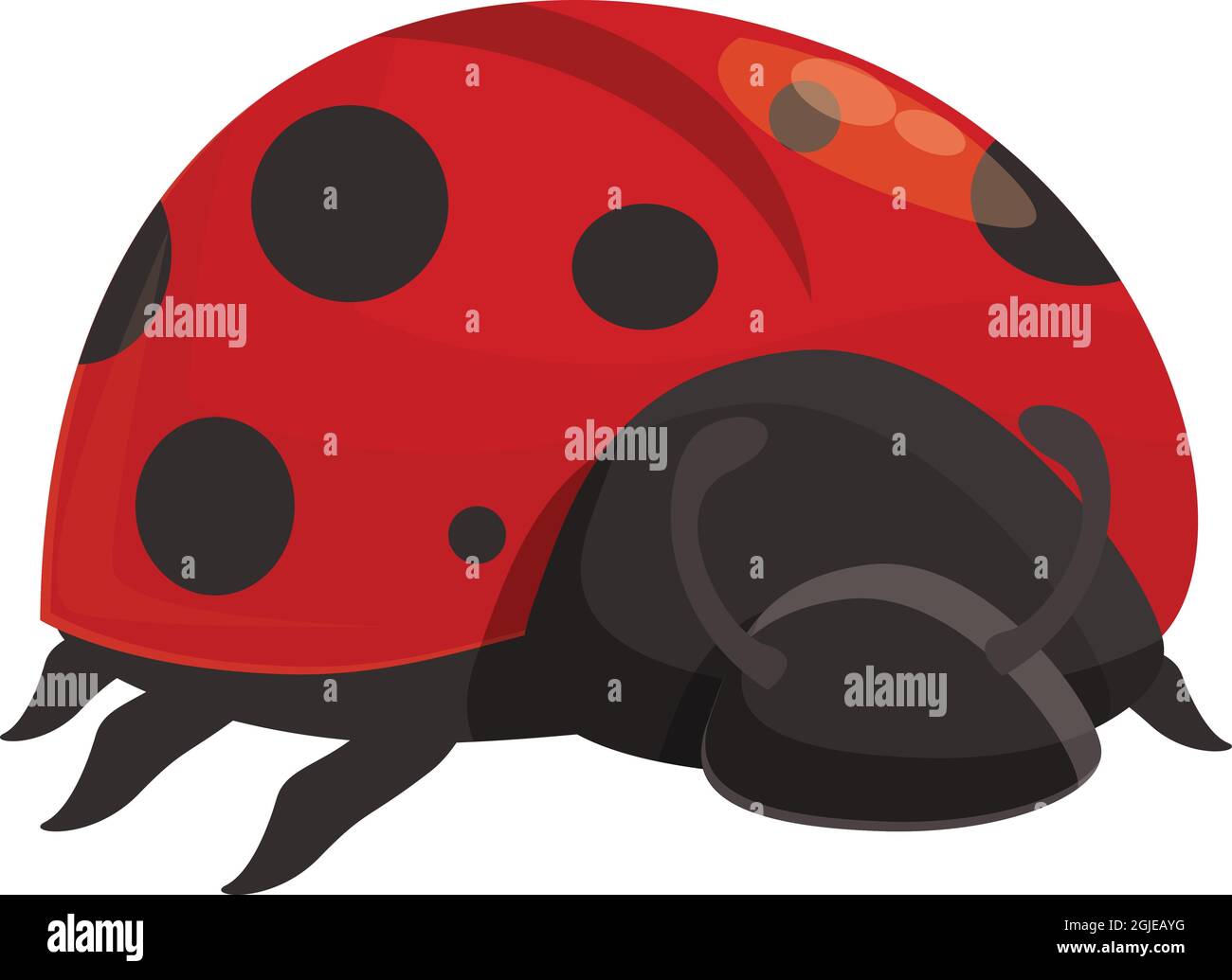 Summer ladybug icon cartoon vector. Ladybird bug. Beetle insect Stock ...