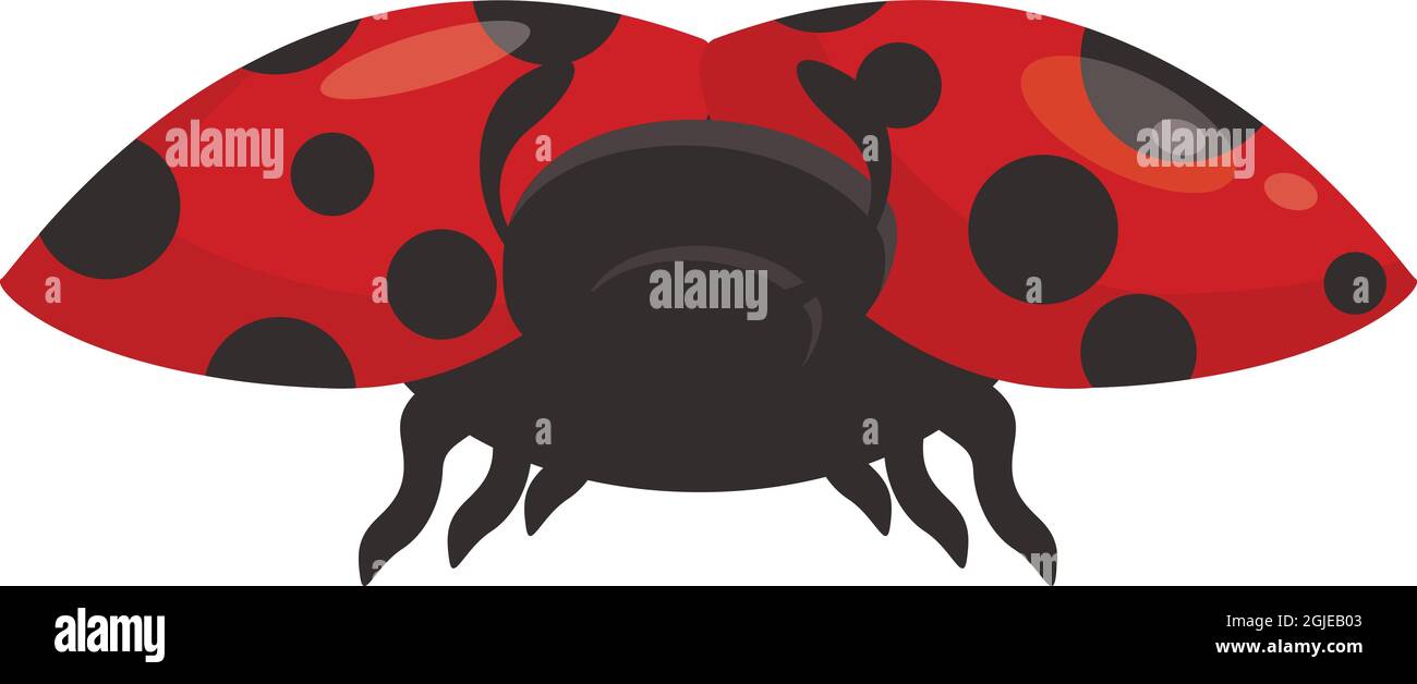 Ladybug side view Stock Vector Images - Alamy