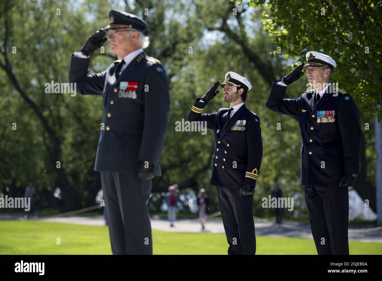 King Carl Gustaf and Prince Carl Philip attend Veterans Day ceremony at ...