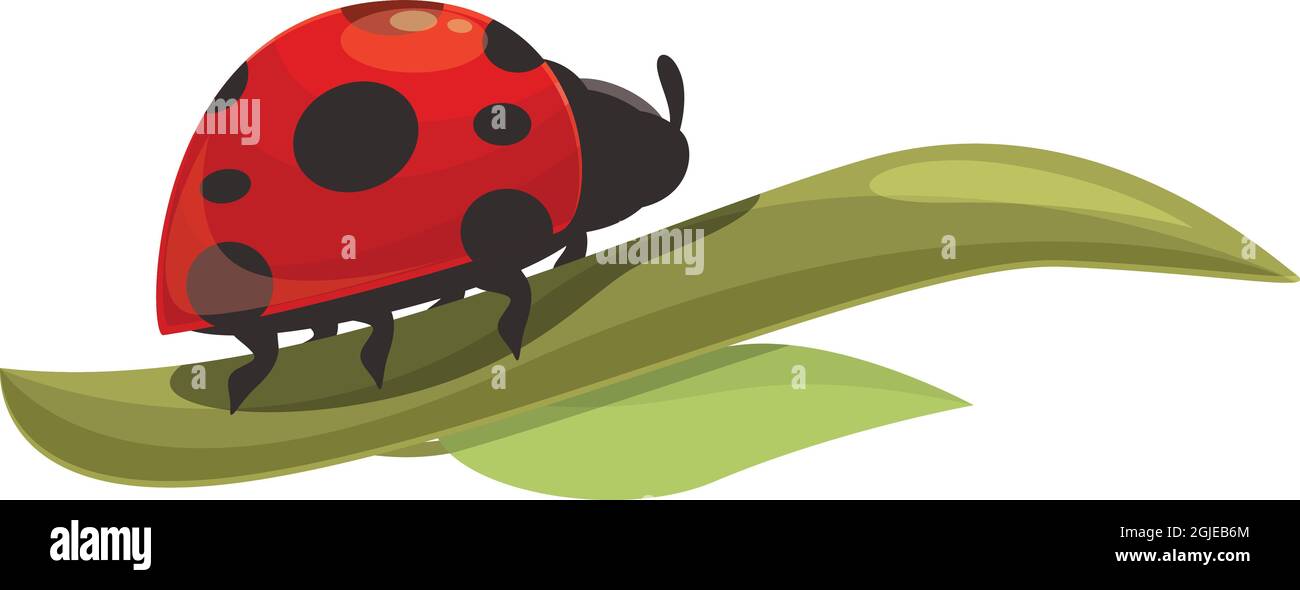 Cartoon Ladybug On Leaf