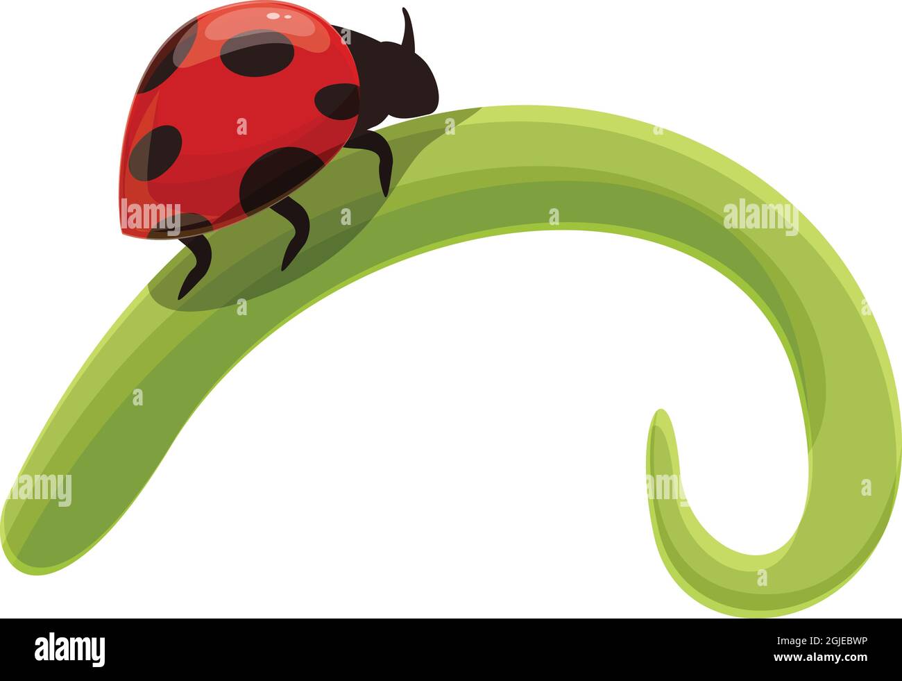Tree ladybug icon cartoon vector. Floral bug. Forest insect Stock ...