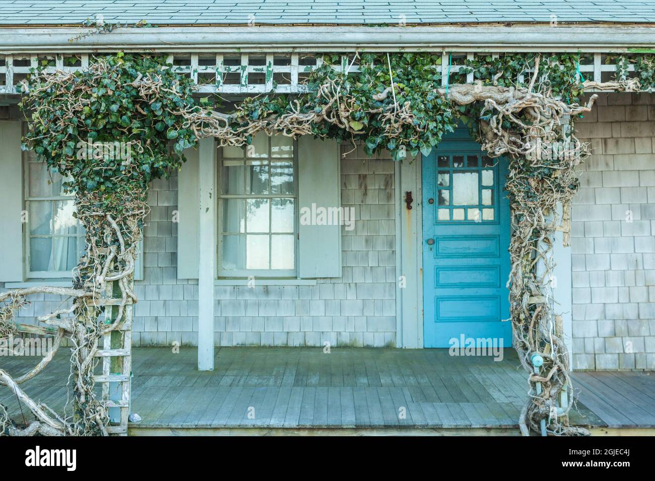 USA, New England, Massachusetts, Nantucket Island, Siasconset, ivy ...