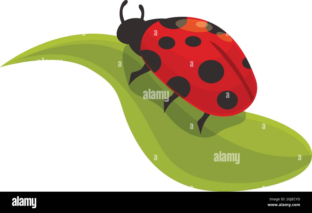 Cartoon Ladybug On Leaf