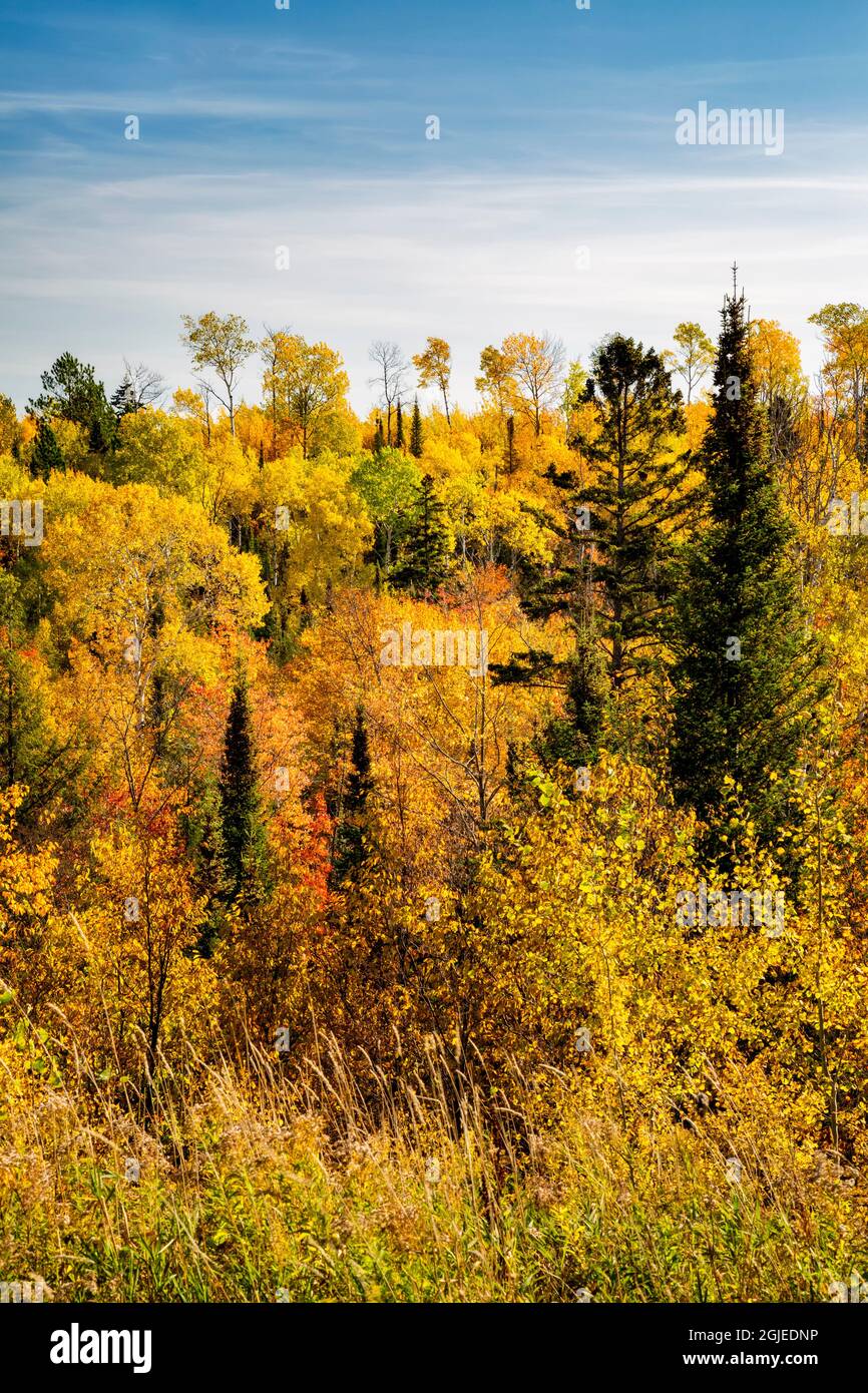 USA, Michigan, Autumn color in the Upper Peninsula Stock Photo - Alamy